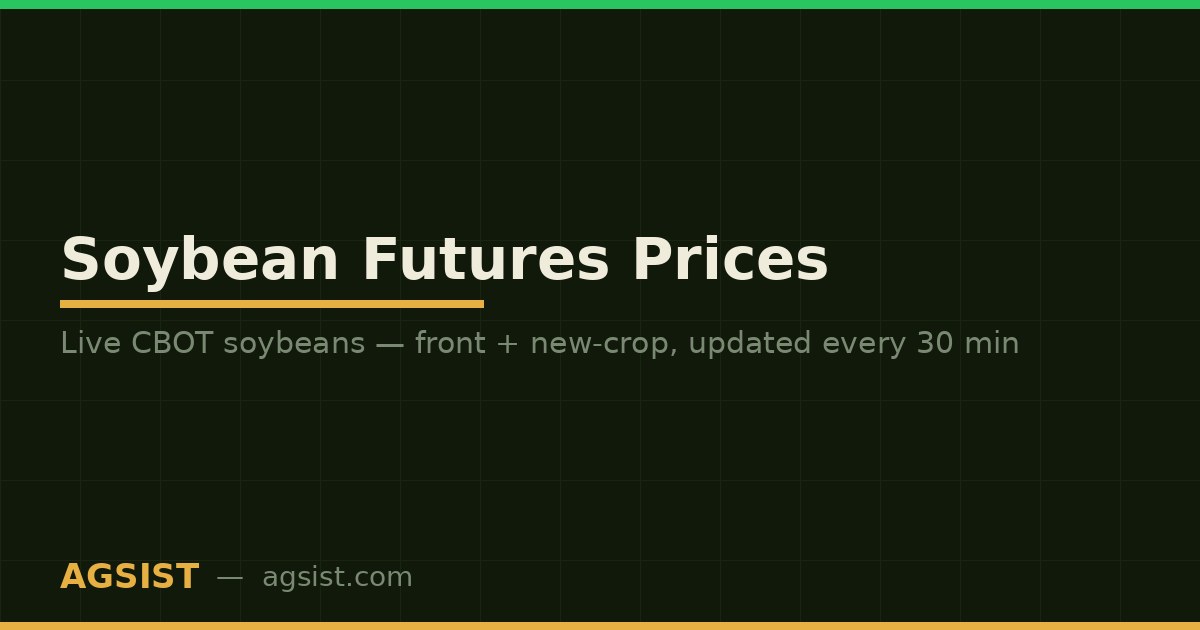 Soybean Prices Today — Live CBOT Futures & Cash Bids